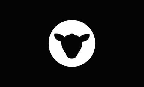 Black Sheep Cycling – Sticky Bottle